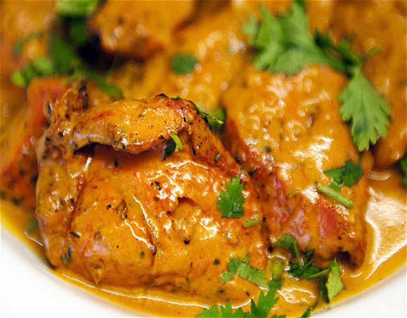 The Indian Oven the-indian-oven